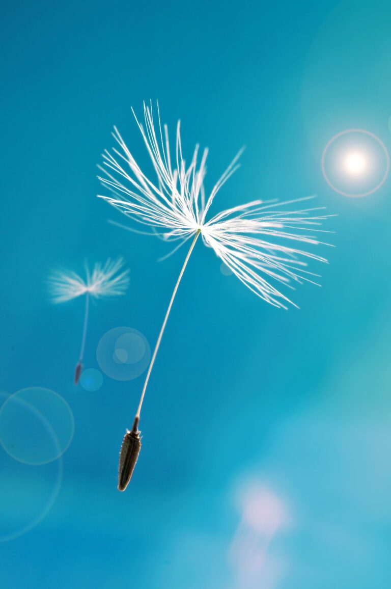 Aktuelles - INPUT e.V.